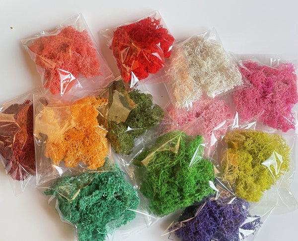 Sea Moss – PaperWorm